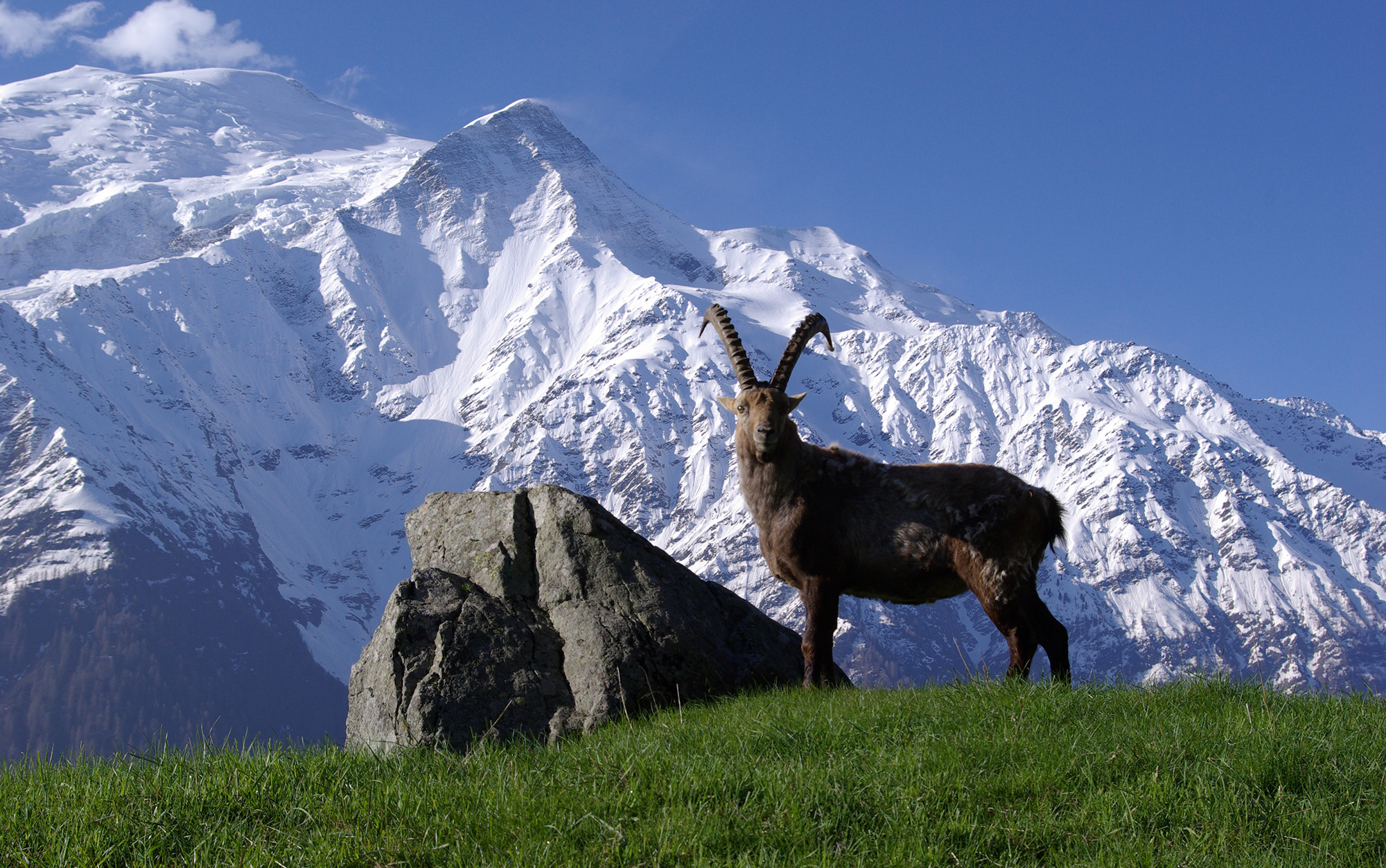 Parc de Merlet - CMP - Ressourcerie
