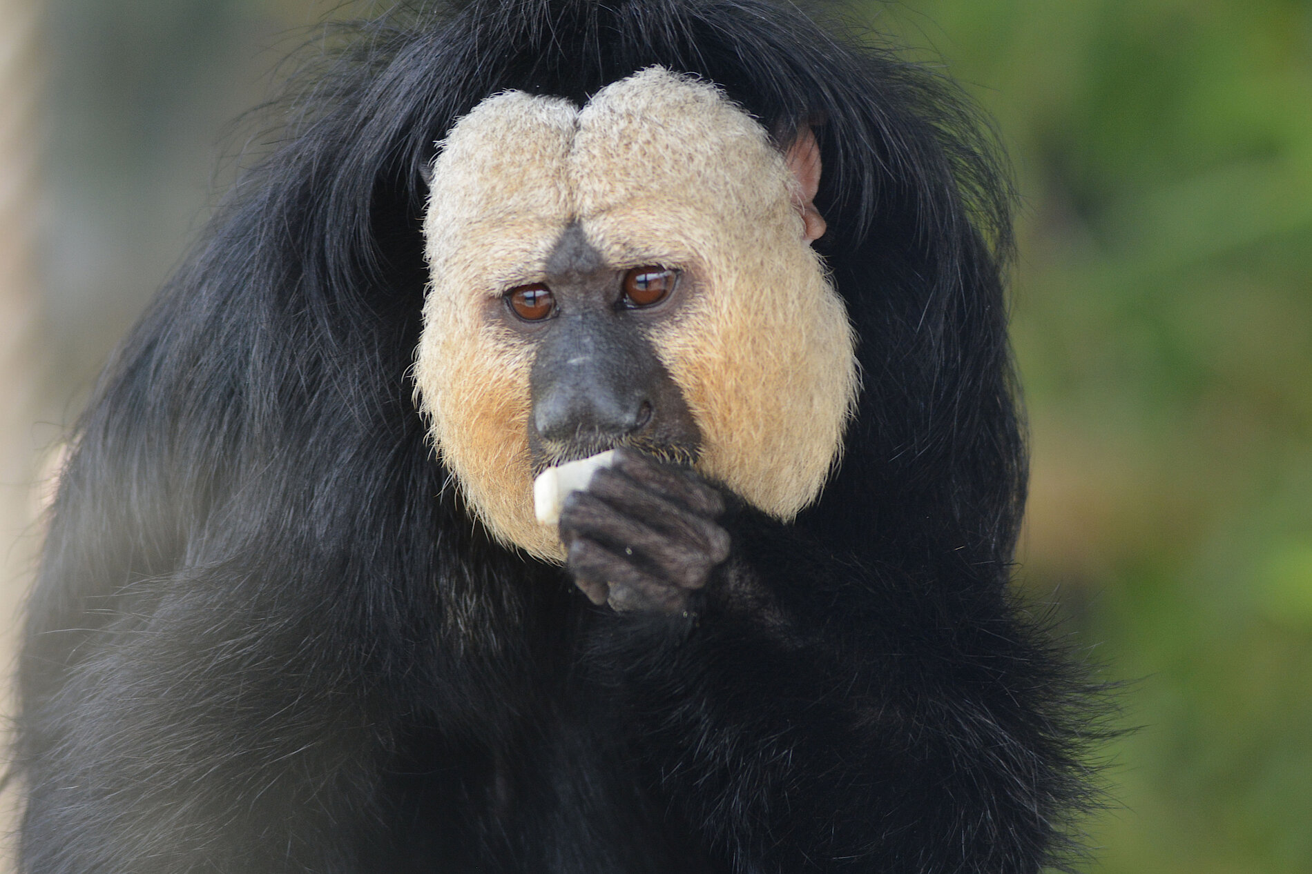 Bio-Topia - CMP - Ressourcerie